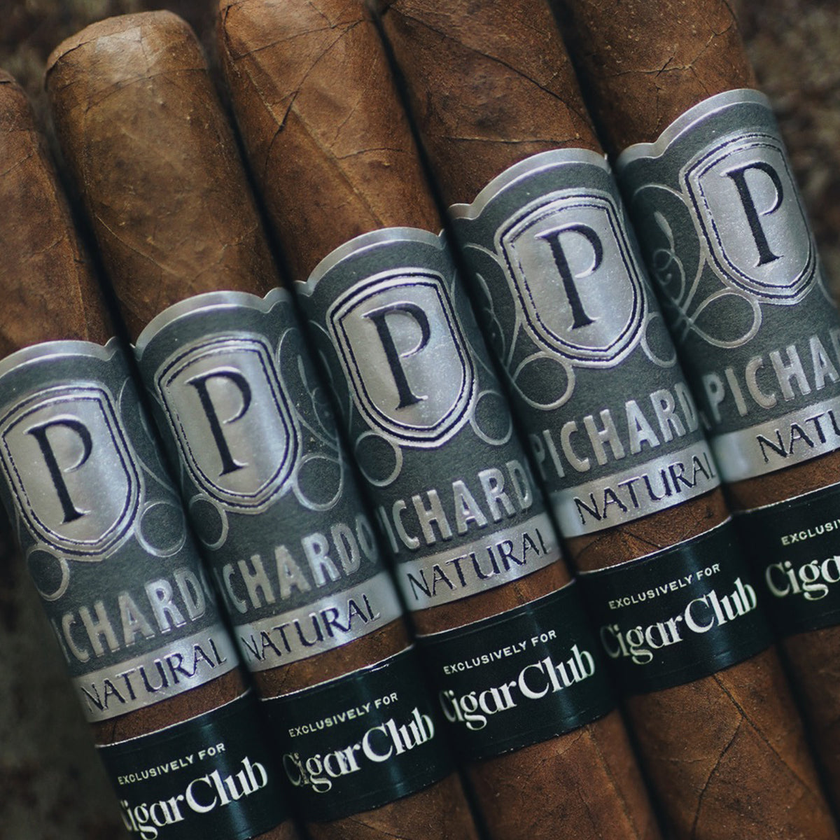 CigarClub x Pichardo Clasico Natural Exclusive | 5 Pack | CigarClub.com