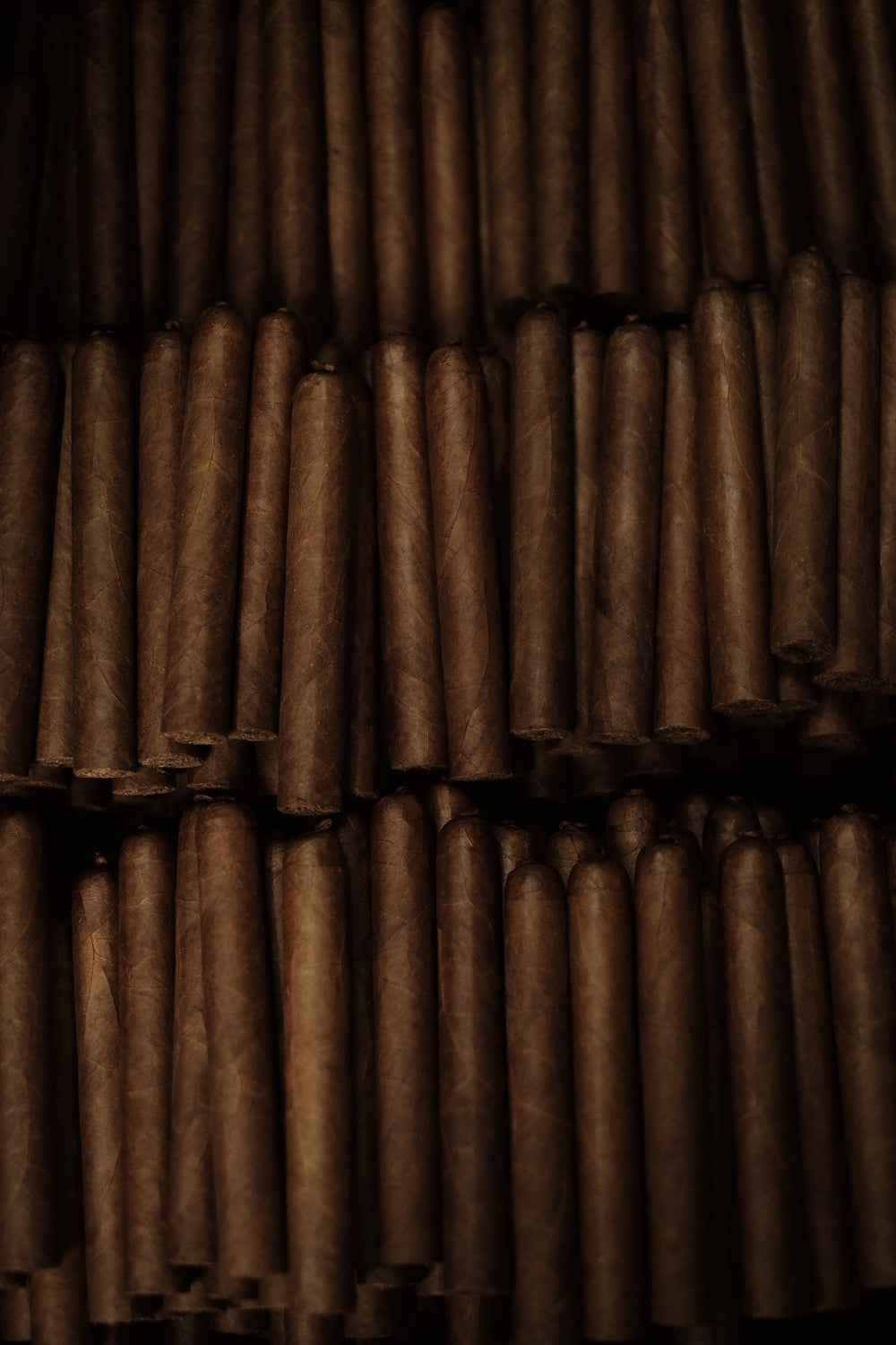 Premium Cigar Subscription – CigarClub.com