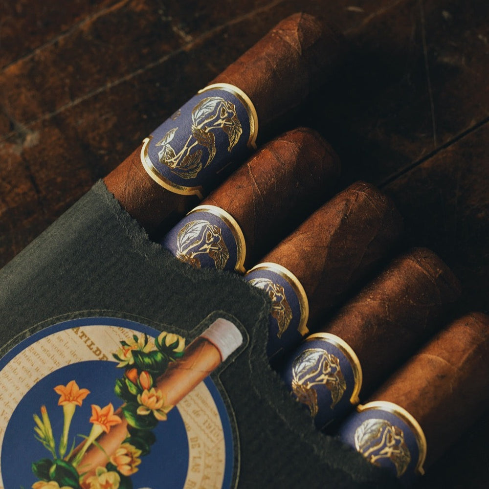 CigarClub x Matilde Exclusive | 5 Pack – CigarClub.com